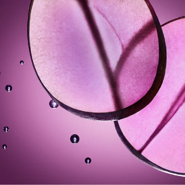 RELX-Infinity-2-Grape-Pod-Illustration_1200x1200.jpg?v=1710986046